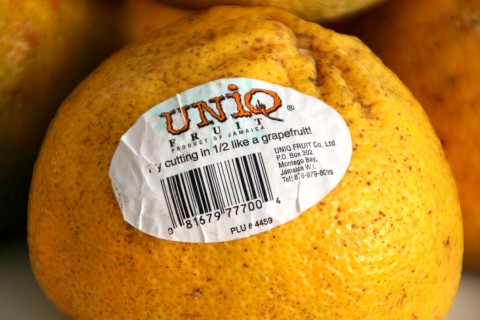 1 Ugli Fruit (aka Uniq Fruit) 1 1/2-2 ounces vodka (more or less, as ...