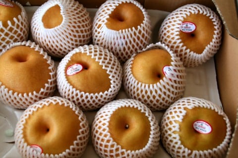 It’s no wonder these are sometimes referred to as apple pears.