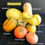 We’re right about at the peak of winter variety squash season, so now’s ...