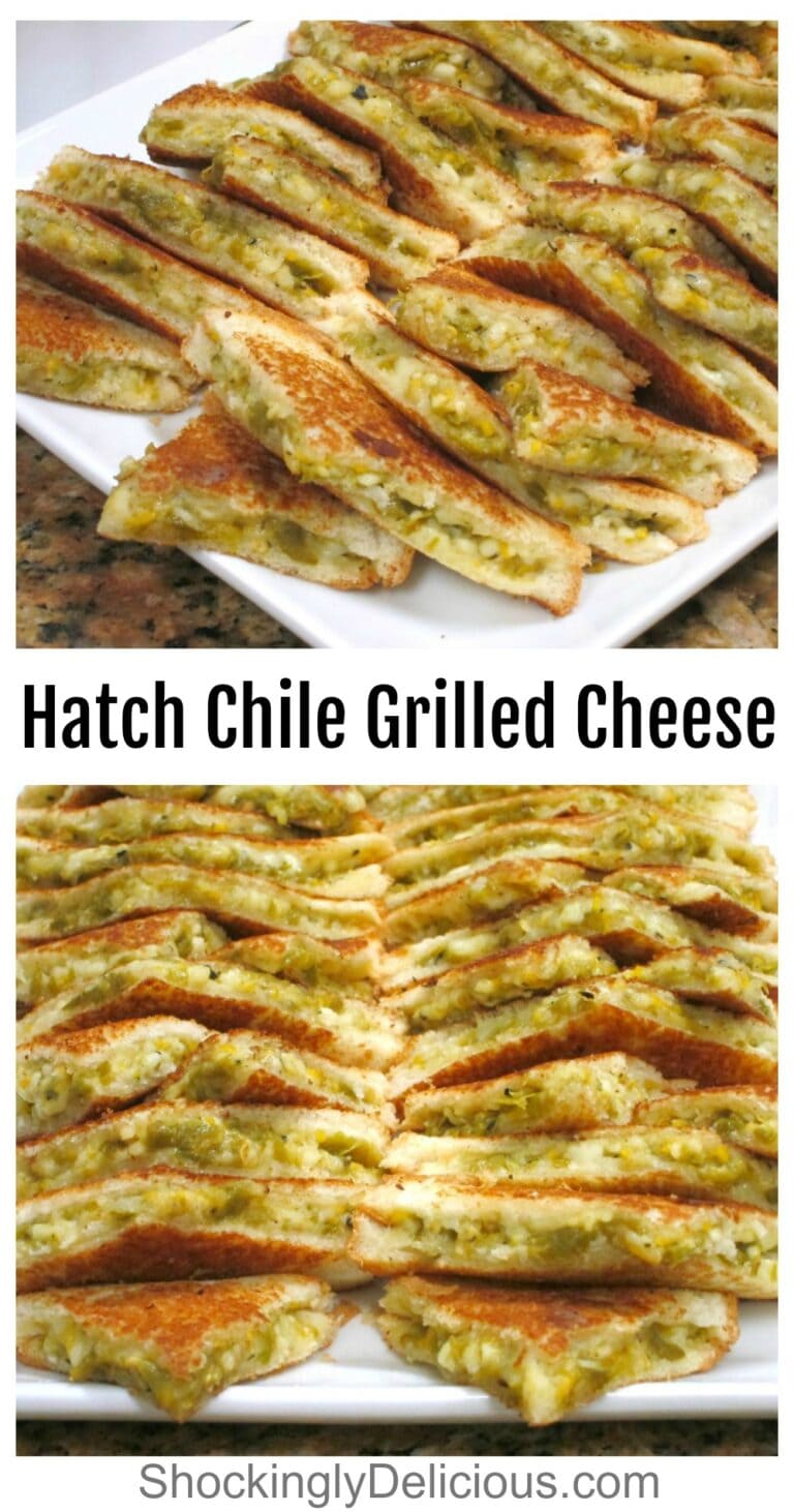 Thanks for visiting…are you hungry for more? Follow Shockingly ...