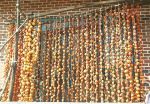Here are some examples from around world, showing Hoshigaki hanging ...