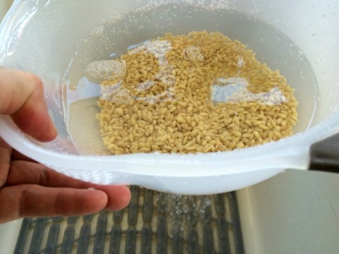 Barley Banana Berry Breakfast Bowl | Healthy whole grain breakfast bowl ...