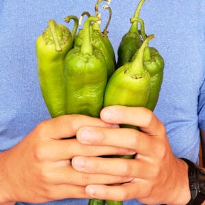The most important part of this is the Hatch chile peppers! You’ll need ...